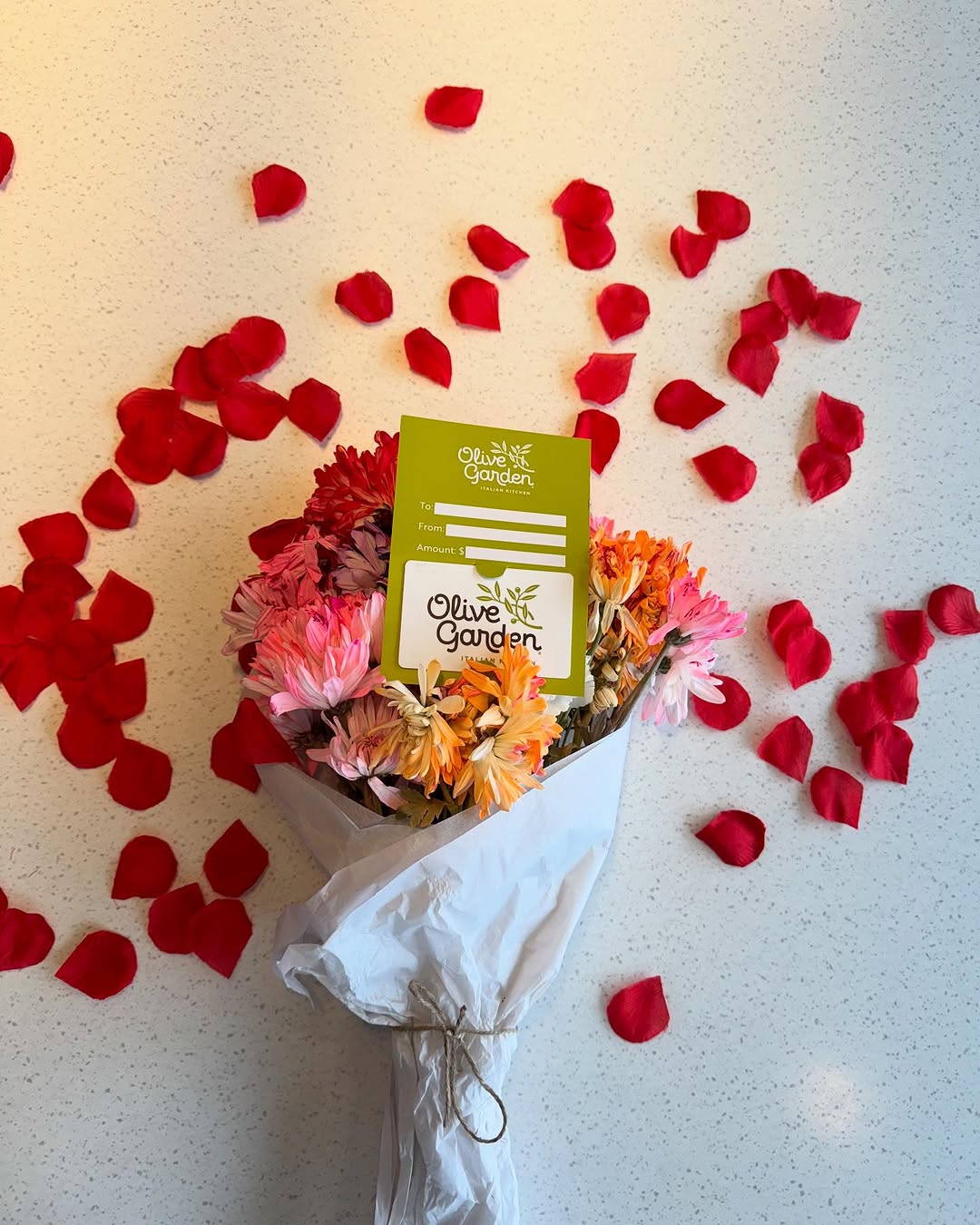 RISE on Chauncey | West Lafayette Student Apartments near Purdue